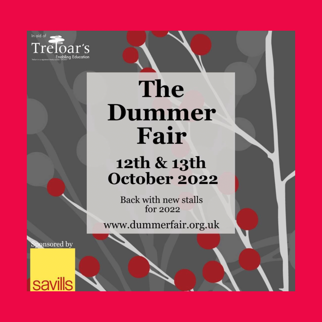 The Dummer Fair - 12th - 13th October – Indigo Prawn