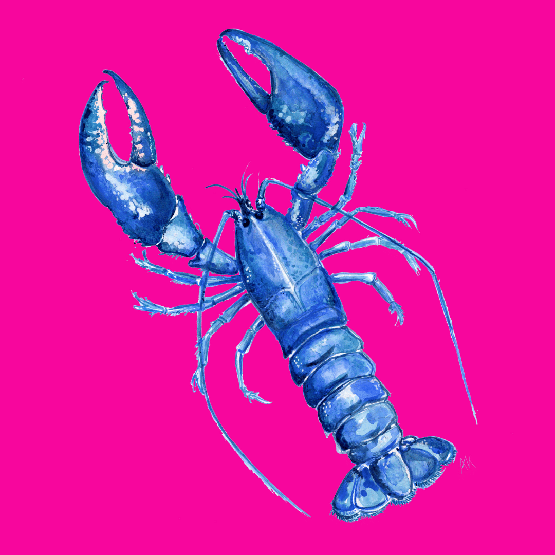 Oven Gloves - Super Duper Pink Lobster – Indigo Prawn